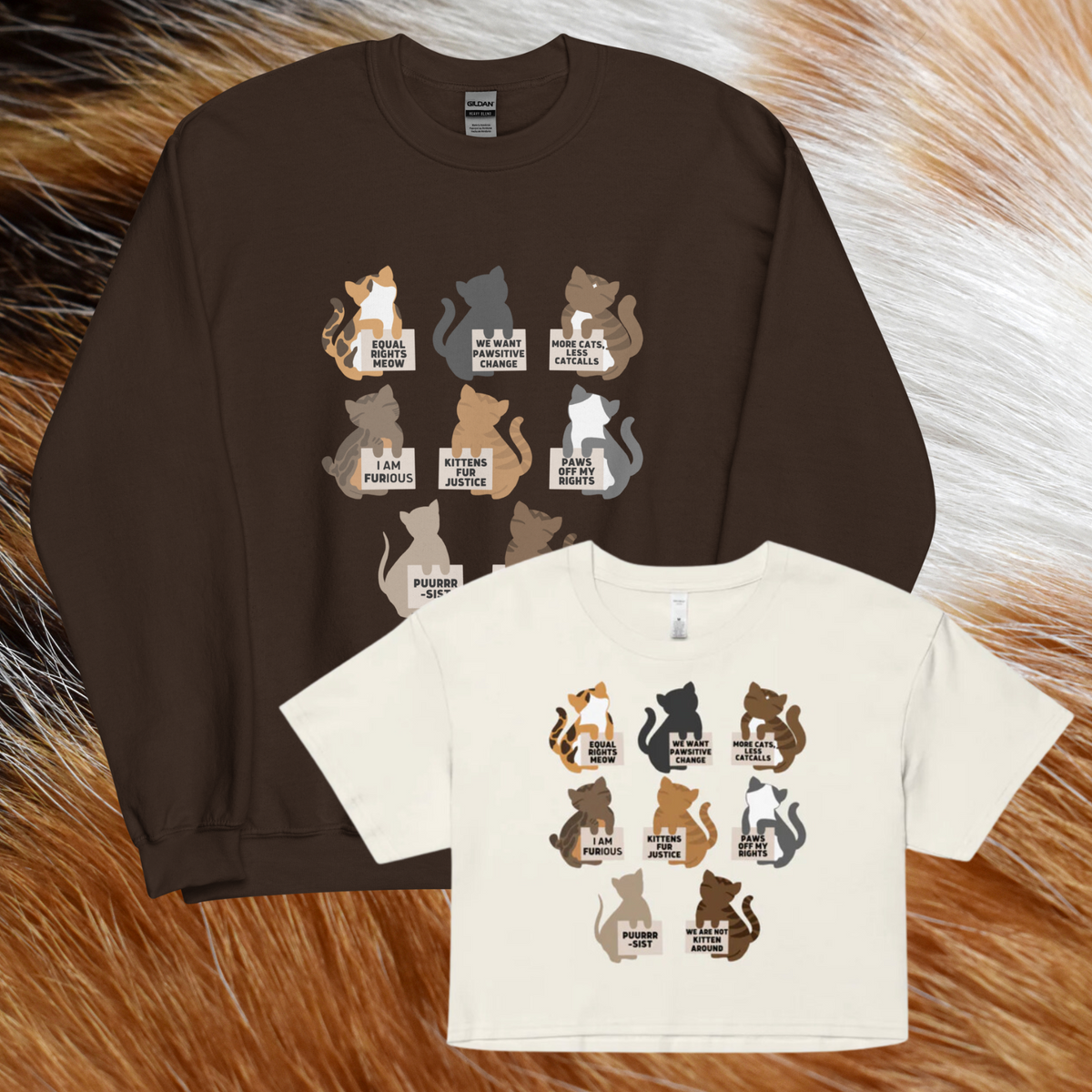 Protesting Cats Collection – It's Madison Ryan